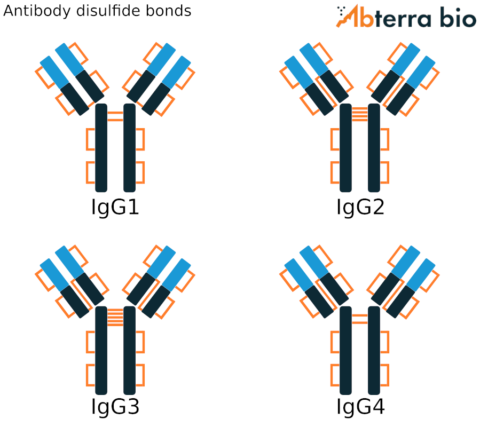 Antibody Reference Guide Cheat Sheet - Abterra Biosciences