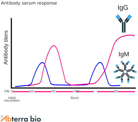 Antibody Reference Guide Cheat Sheet - Abterra Biosciences