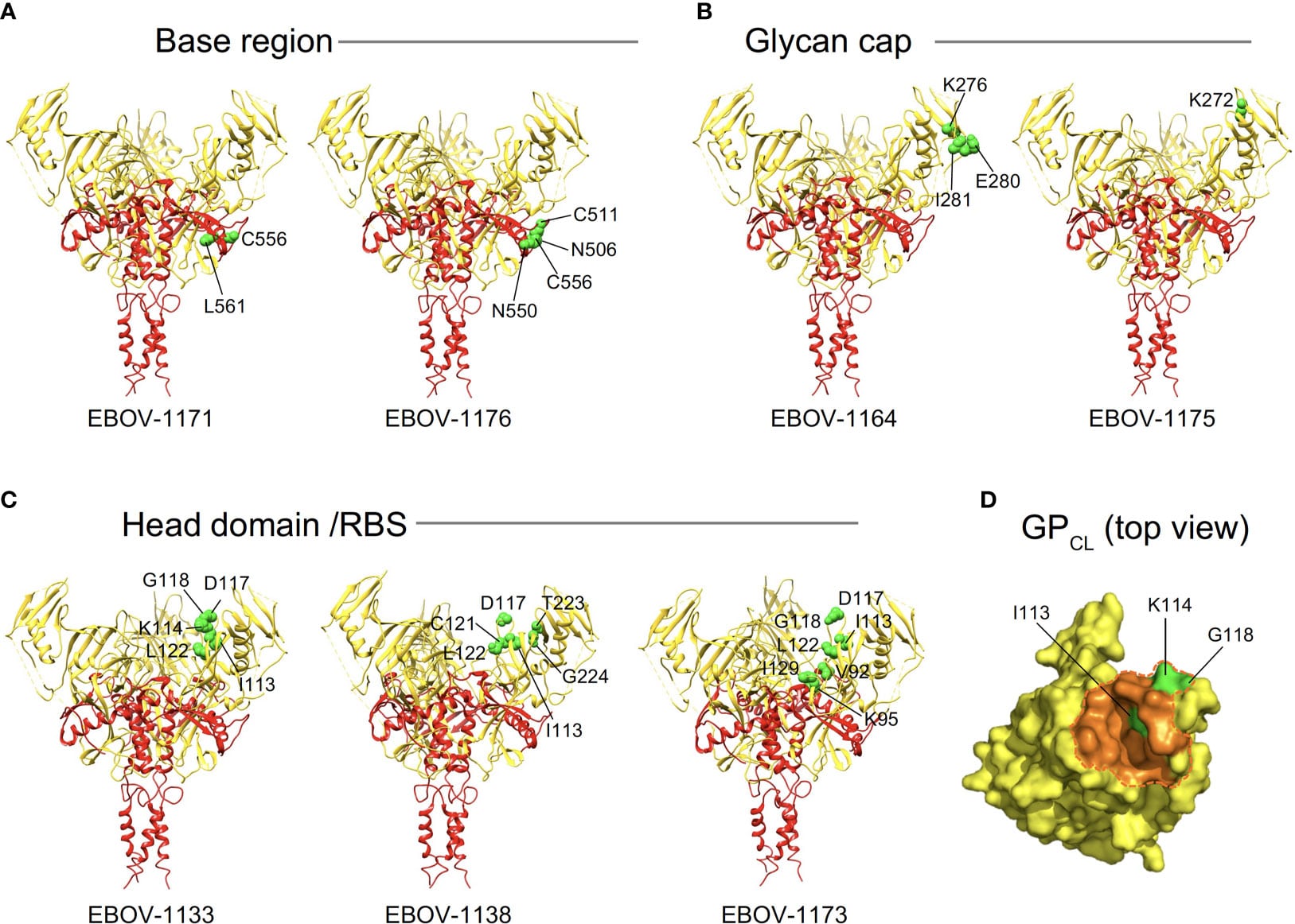 Ebolavirus-Neutralizing Antibodies from Plasma - Abterra Biosciences