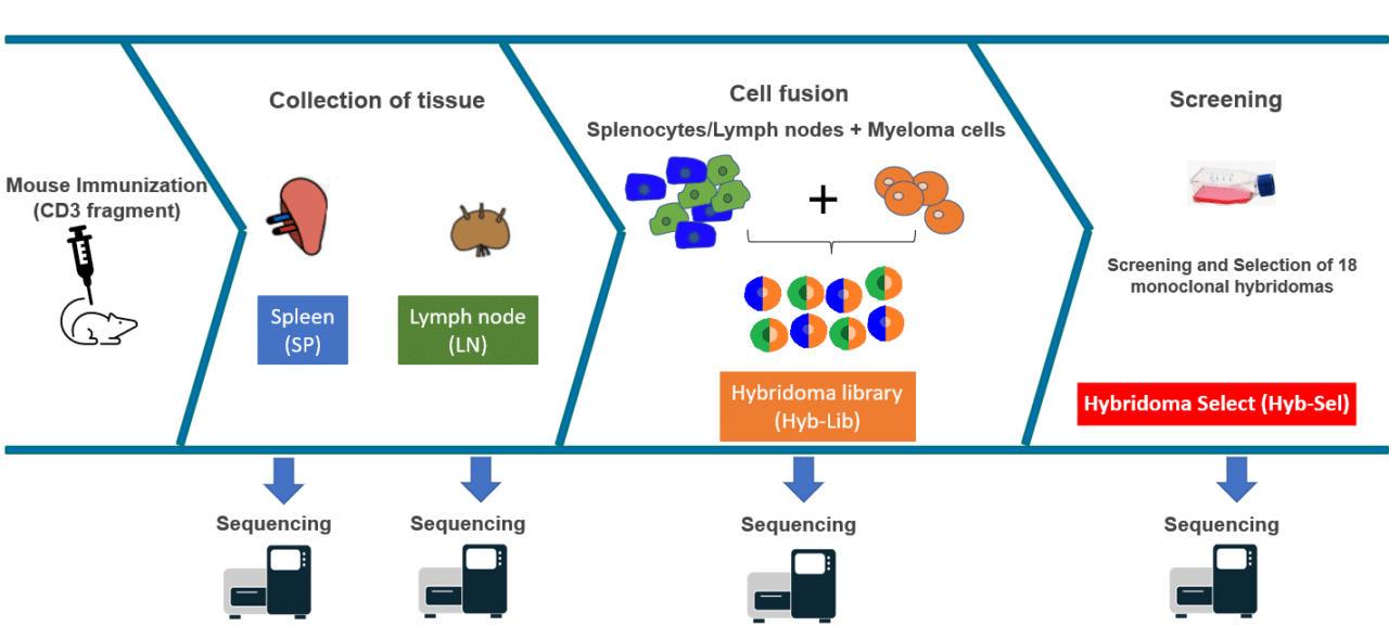 NGS During The Hybridoma Generation Process - Abterra Biosciences