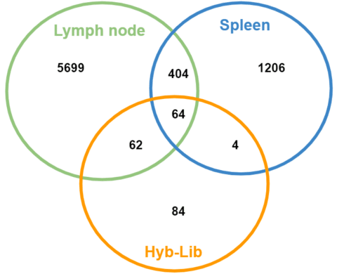 NGS During The Hybridoma Generation Process - Abterra Biosciences