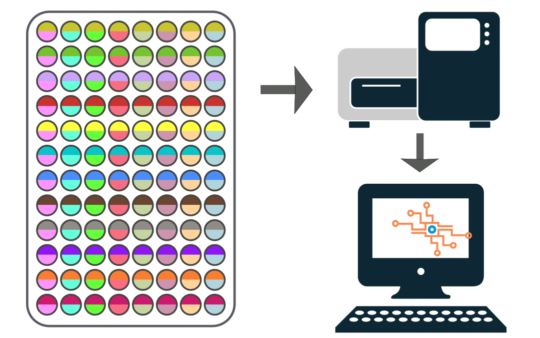 High-Throughput Hybridoma Sequencing - Abterra Biosciences