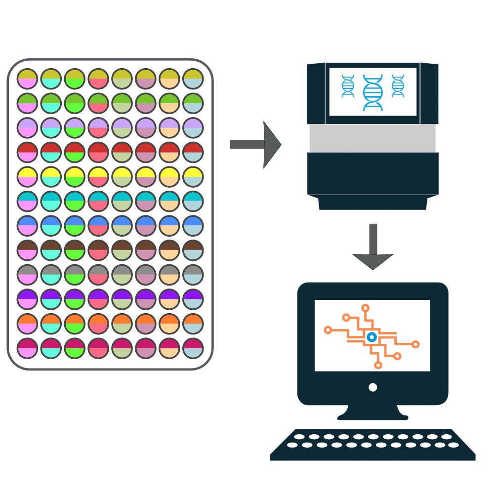 Antibody Sequencing Service - Abterra Biosciences