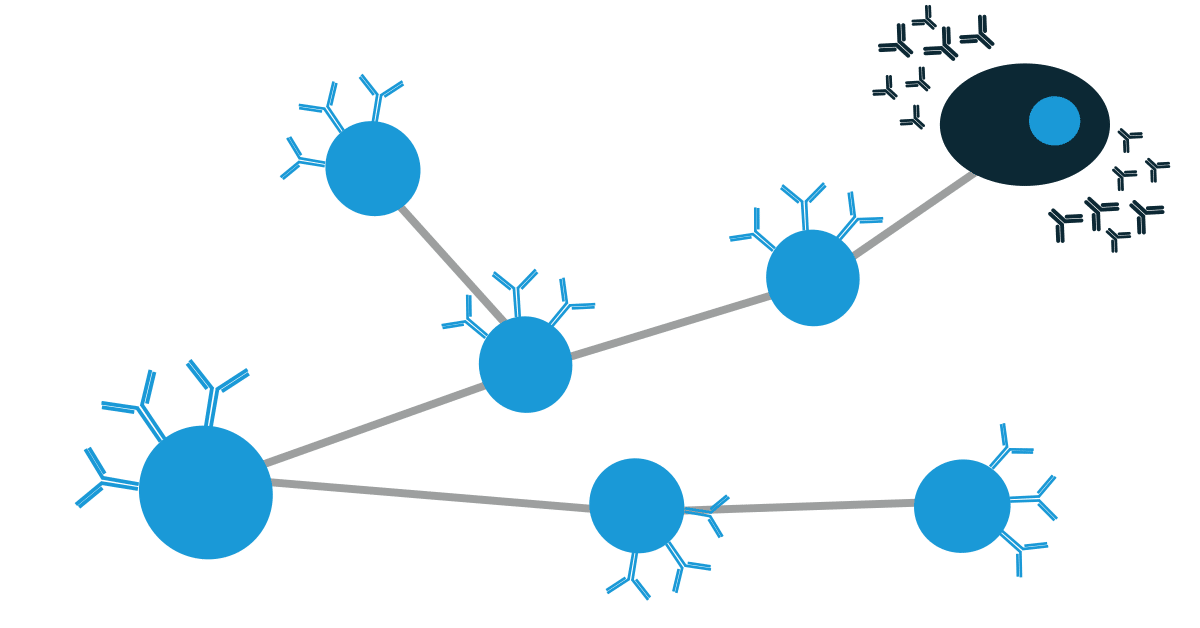 Reptor B Cell Sequencing Overview - Abterra Biosciences