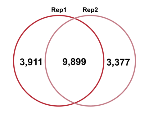 Case Study: Reptor Biological vs Technical Replicates - Abterra Biosciences