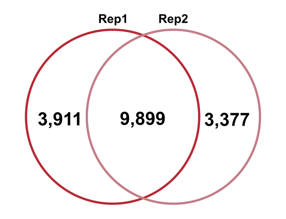 Case Study: Reptor Biological vs Technical Replicates - Abterra Biosciences