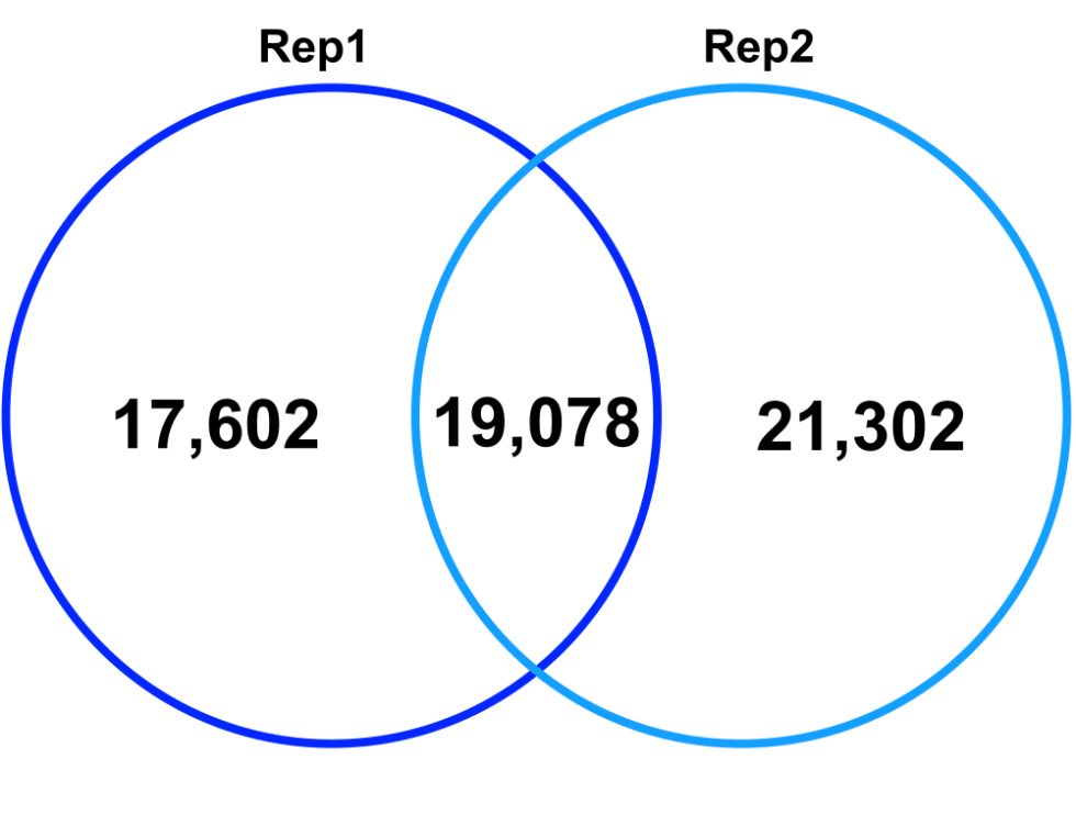 Case Study: Reptor Biological vs Technical Replicates - Abterra Biosciences