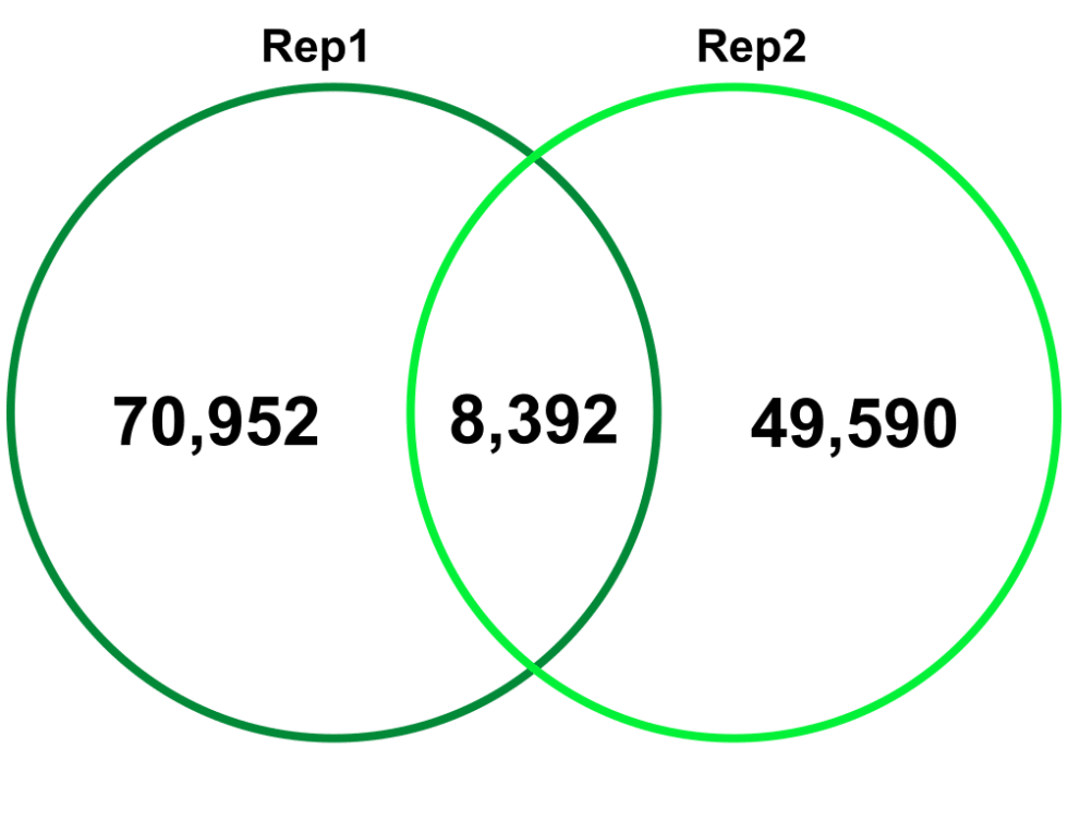 Case Study: Reptor Biological vs Technical Replicates - Abterra Biosciences