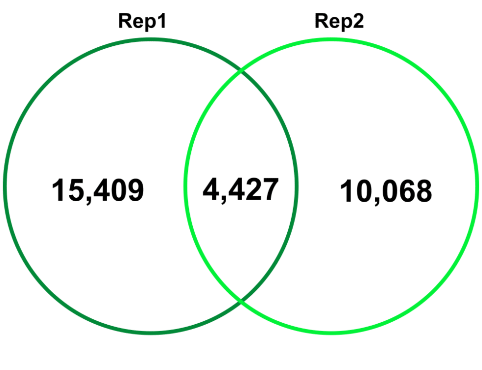 Case Study: Reptor Biological vs Technical Replicates - Abterra Biosciences