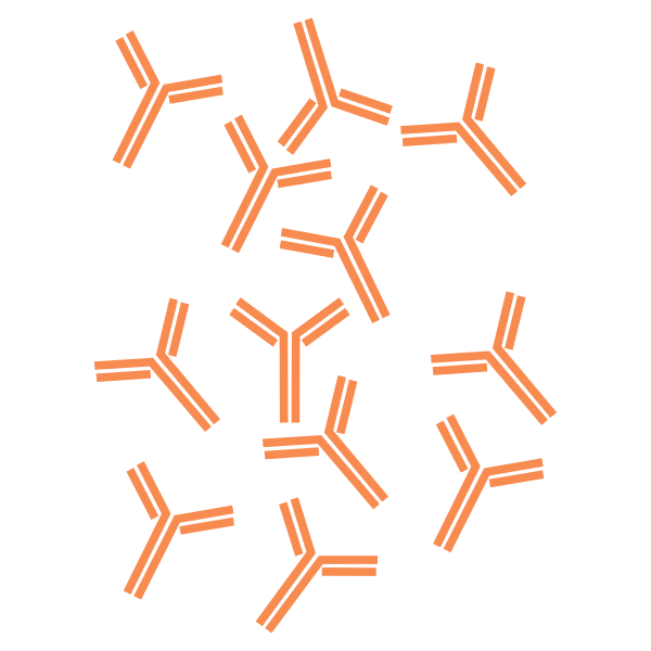 Monoclonal Antibody Sequencing - Abterra Biosciences