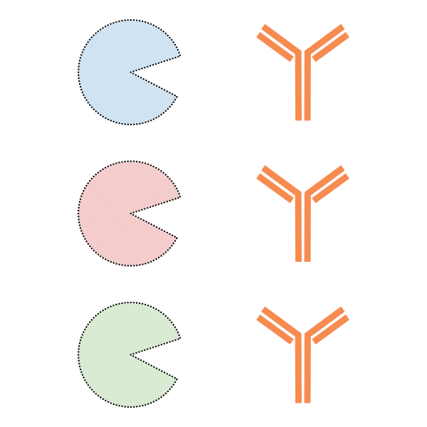 Monoclonal Antibody Sequencing - Abterra Biosciences